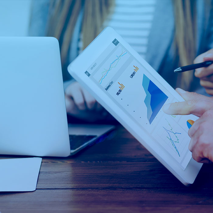 MindMesh – Empower Your Vision: Unleash the Digital Future